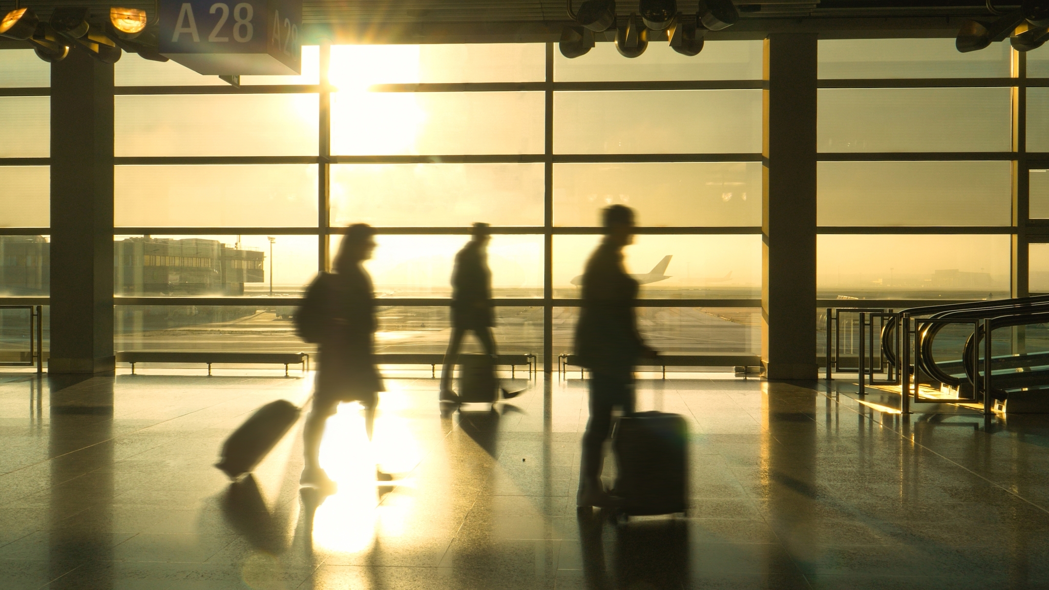 Tren Kabur Aja Dulu Viral! Kenapa Banyak yang Pengen Pergi? - Tuwaga