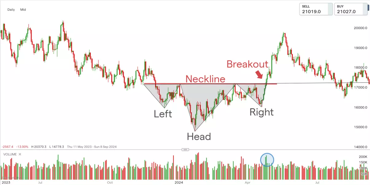 7 Jenis Chart dalam Trading + Cara Baca & Manfaatnya!